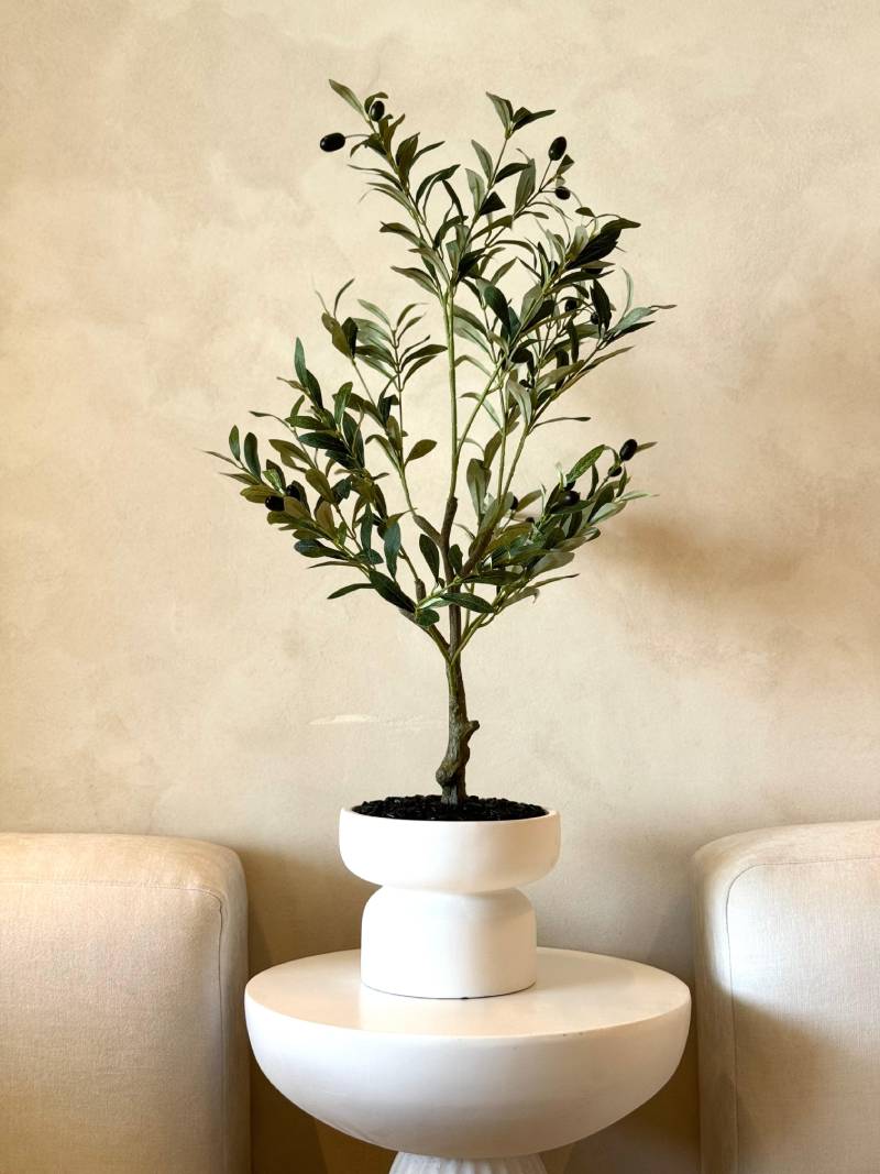 Eyar Bowl | Olive Tree - greensense